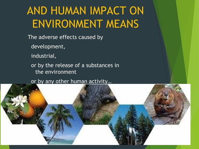 Human impact on environment | PPT