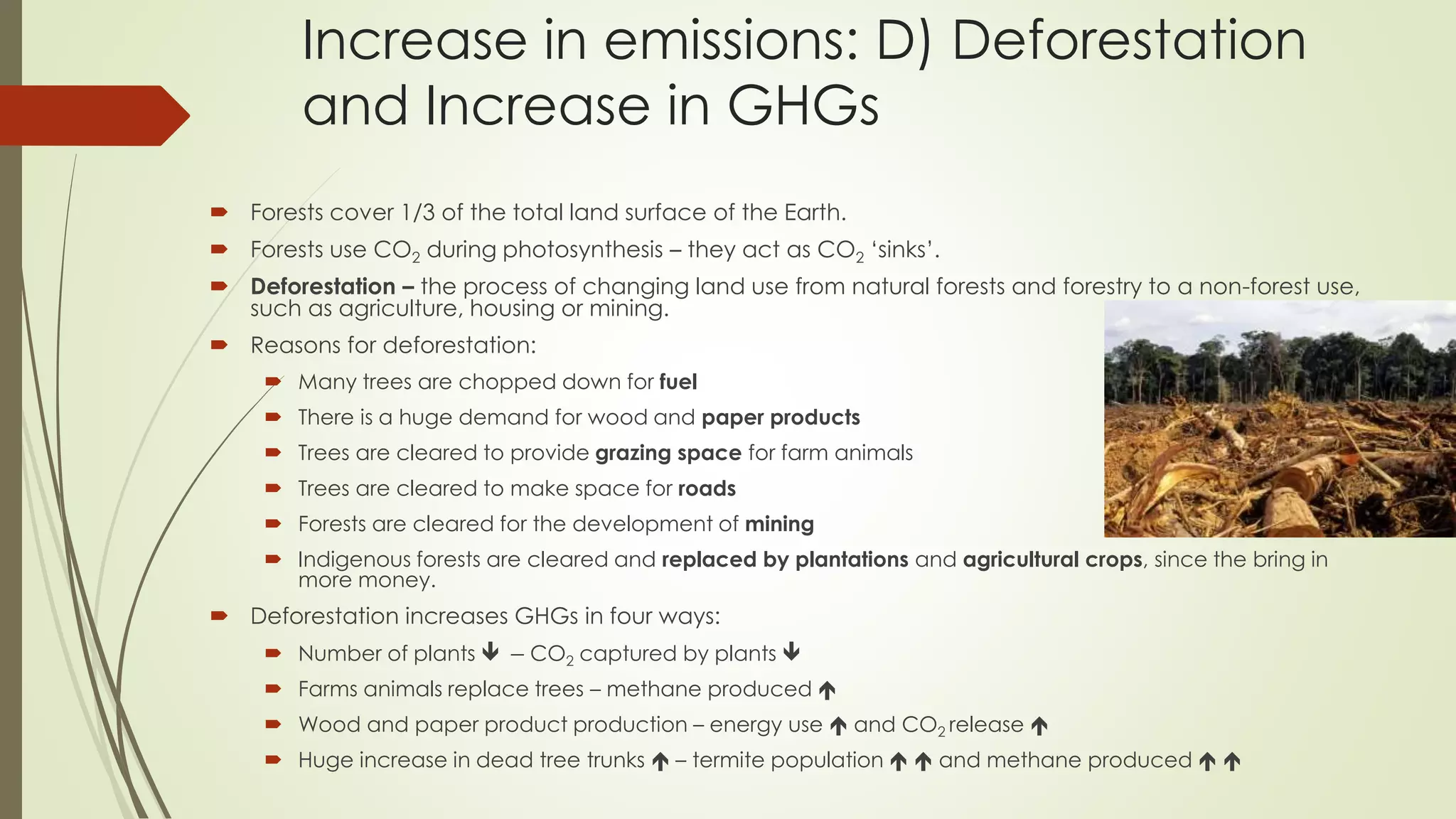 Human impact on the environment | PPTX