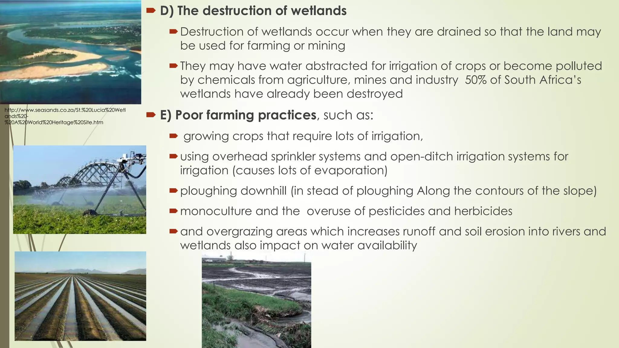Human impact on the environment | PPTX