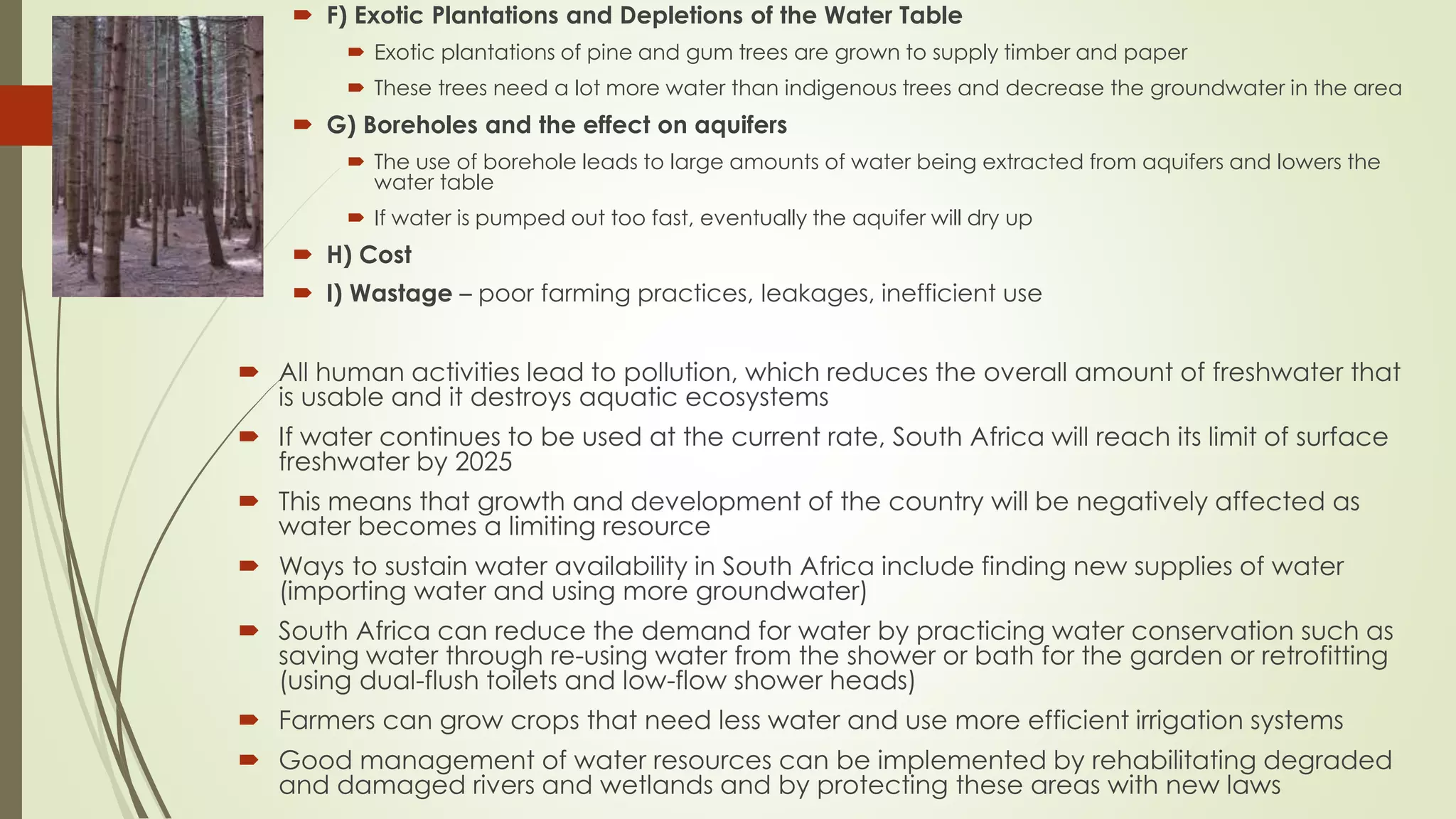 Human impact on the environment | PPTX