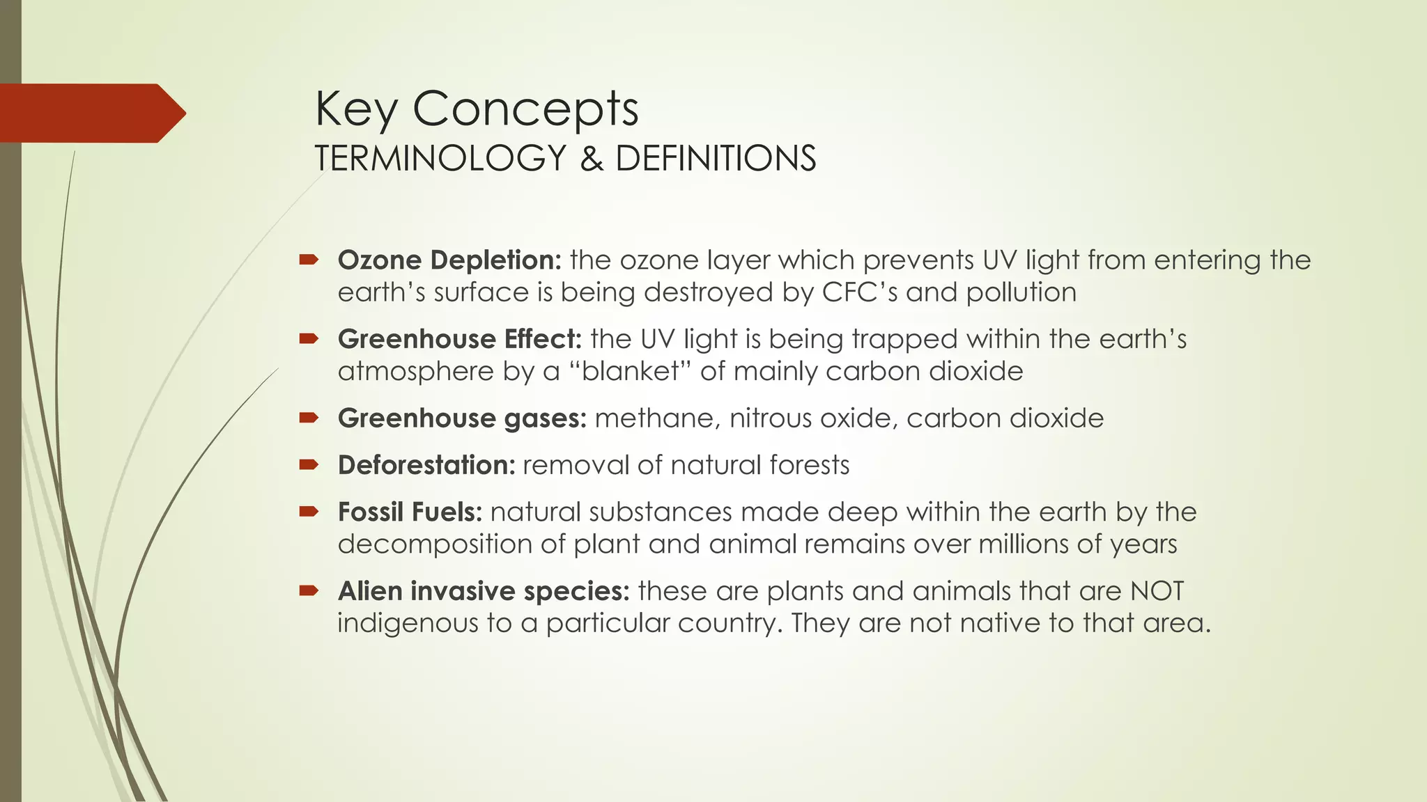 Human impact on the environment | PPTX