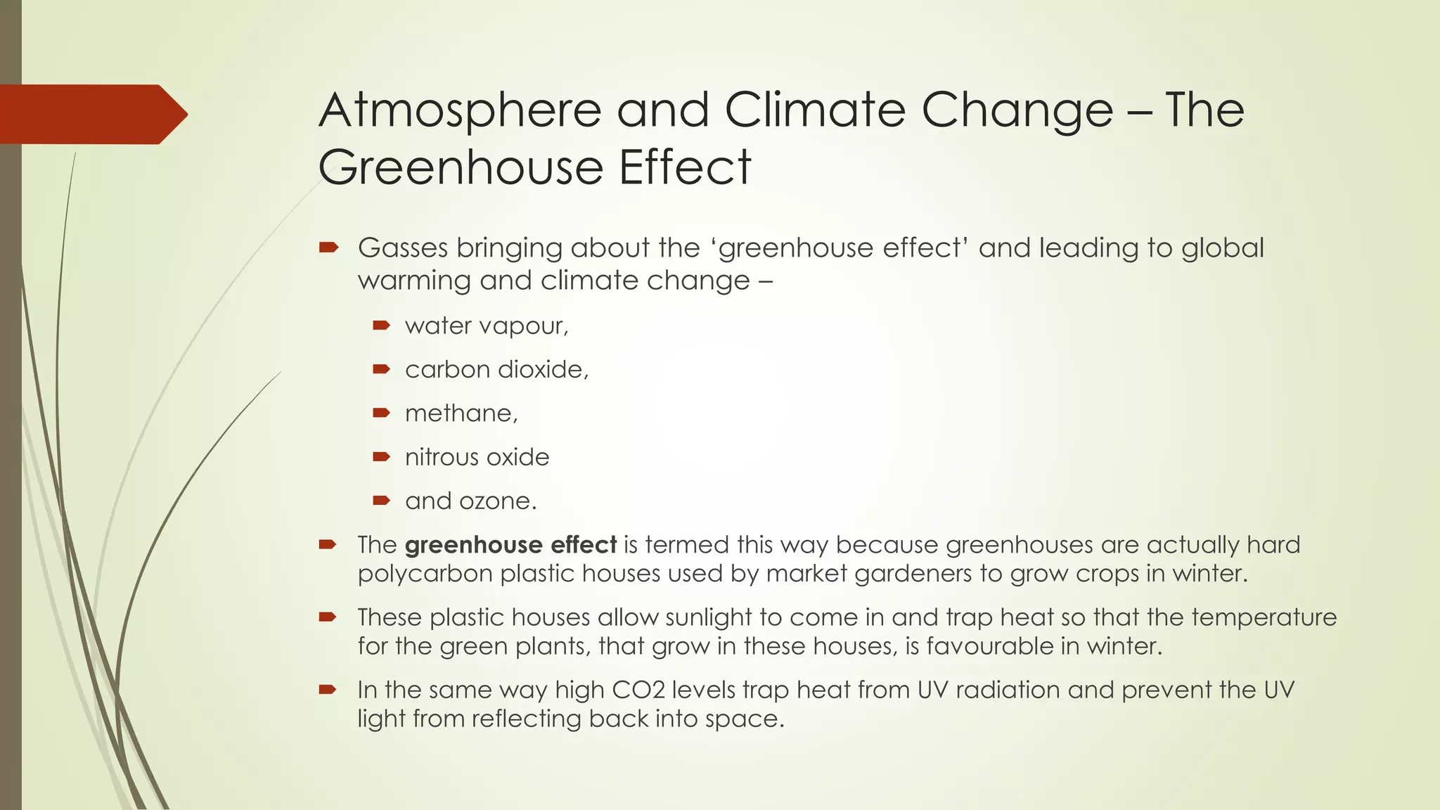 Human impact on the environment | PPTX