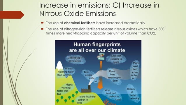 Human impact on the environment | PPTX