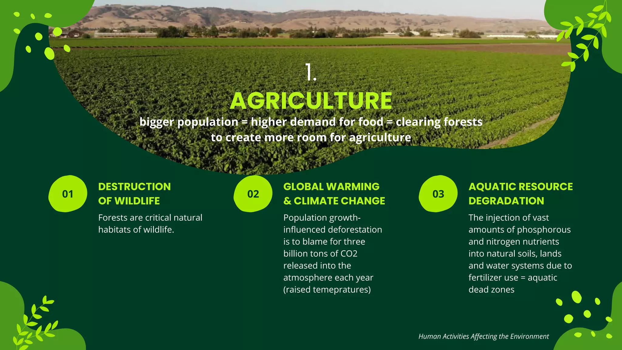 Human Impact on the Environment.pdf | Science