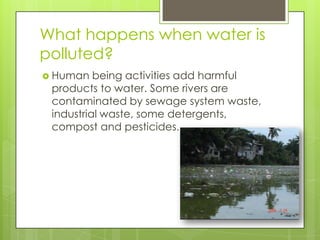 Human impact on water 7th | PPTX
