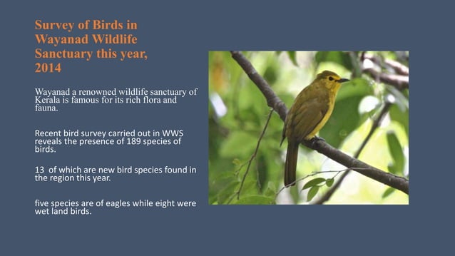 Human impact on wildlife | PPTX | Zoos & Aquariums | Attractions