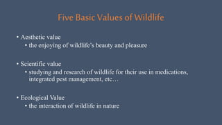 Human impact on wildlife | PPTX