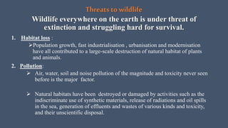 Human impact on wildlife | PPTX