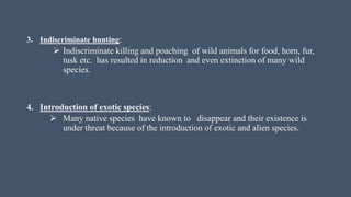 Human impact on wildlife | PPTX