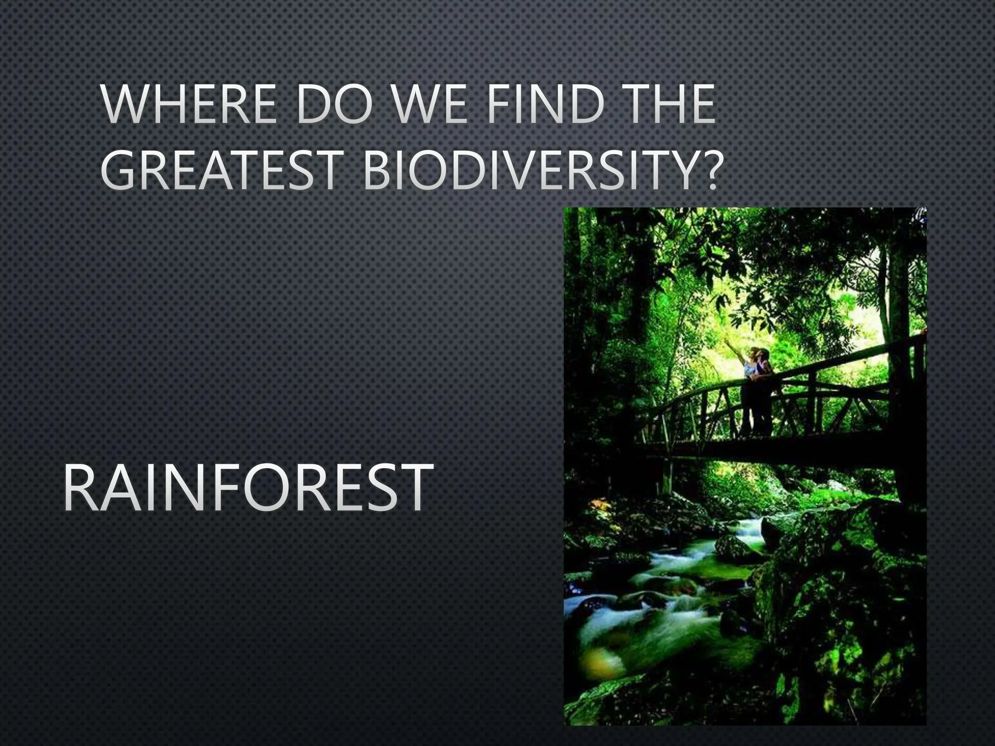 human impact on environment presentation | PPT