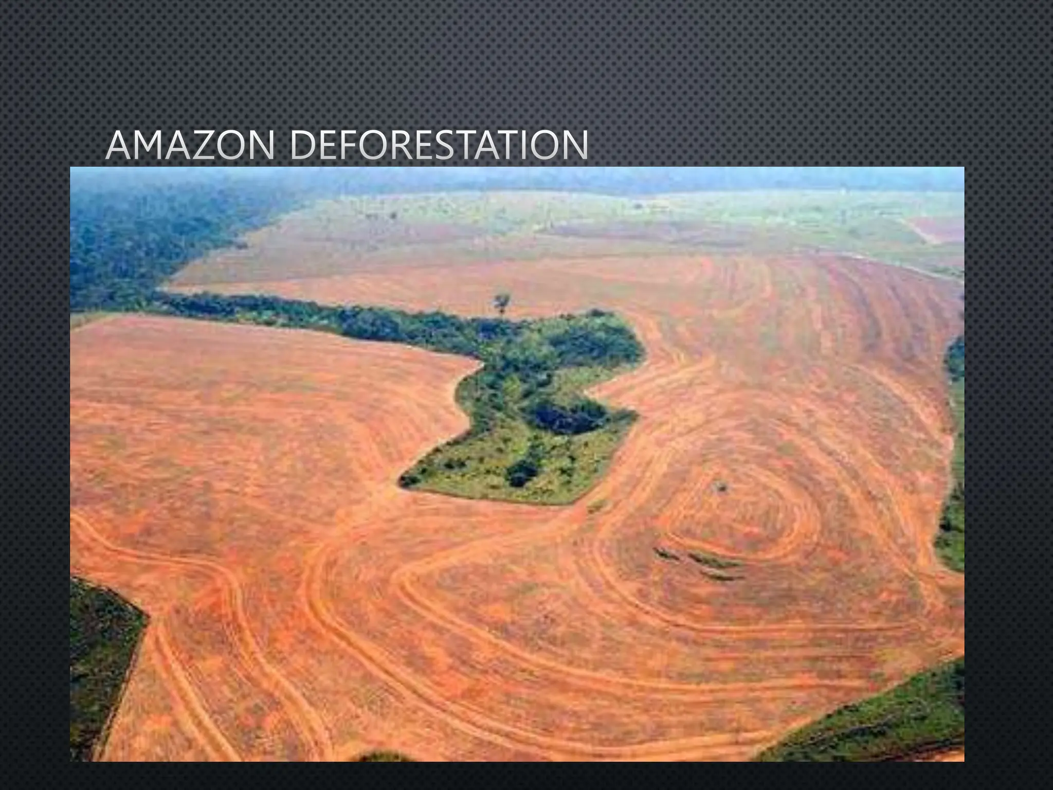 human impact on environment presentation | PPT