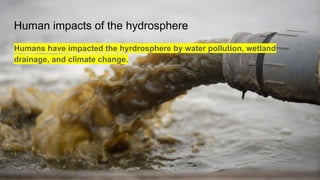 Human Impact Presentation.djejdjdjdjdjds | PPT