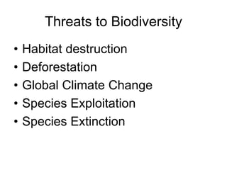 human impact presentation 1.ppt