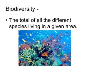 human impact presentation 1.ppt