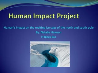 Human impact project | PPT