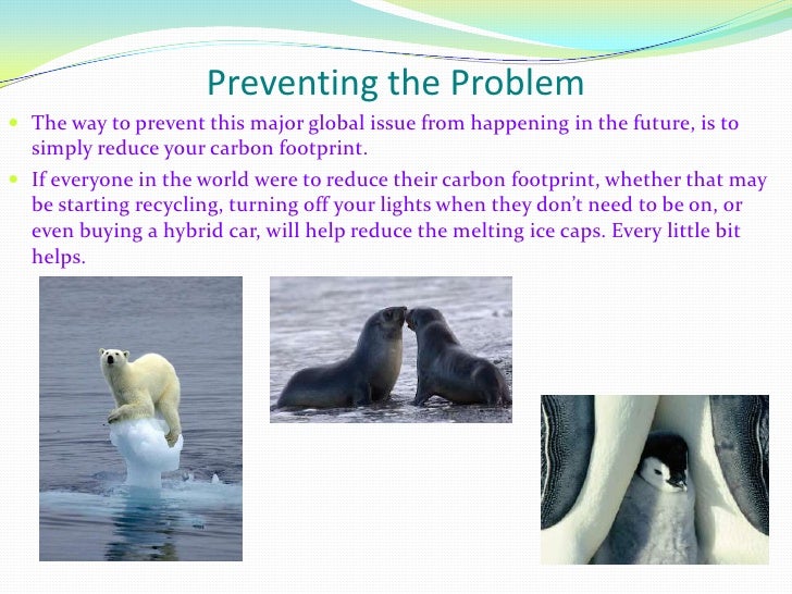 Human impact project