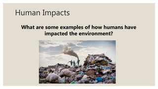 Human impacts | PPT
