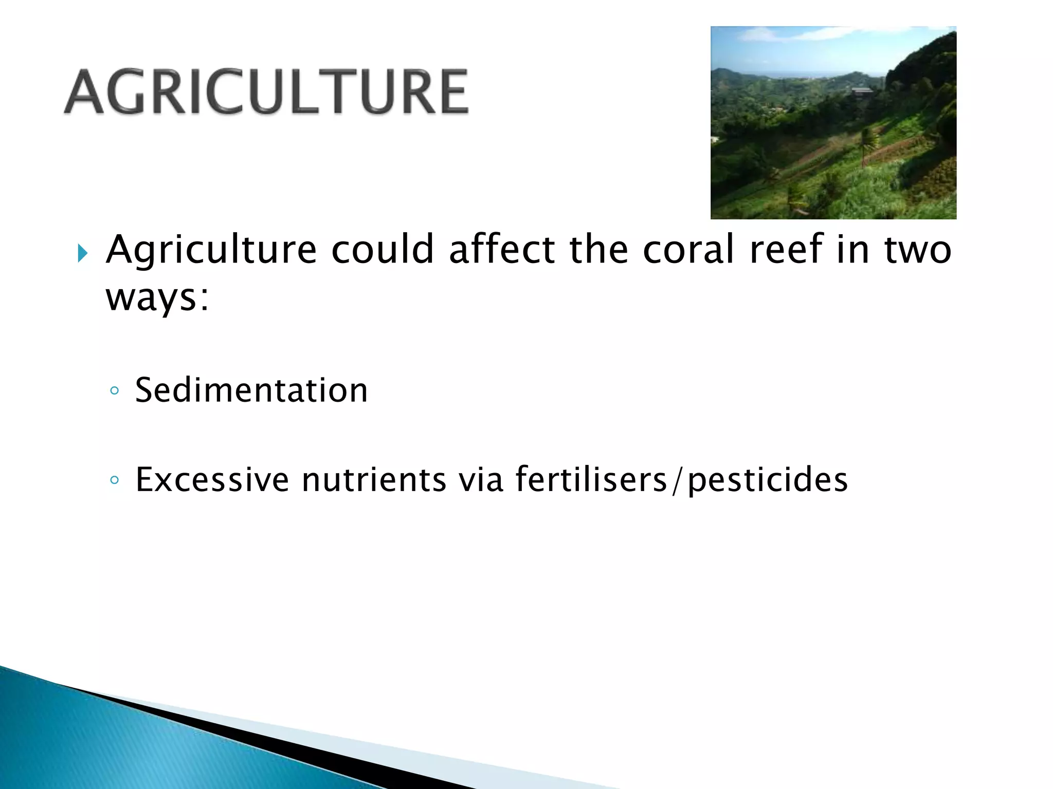 Human impacts on coral reefs | PPT