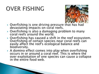 Human impacts on coral reefs | PPTX