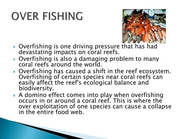 Human impacts on coral reefs | PPT