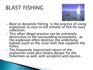 Human impacts on coral reefs | PPTX