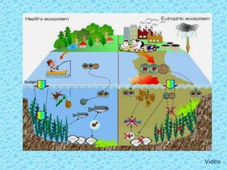 Human impacts on hydrological cycle | PPTX