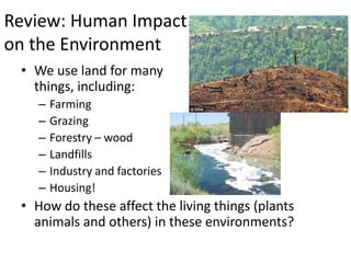 Human impacts on plants and animals | PPTX