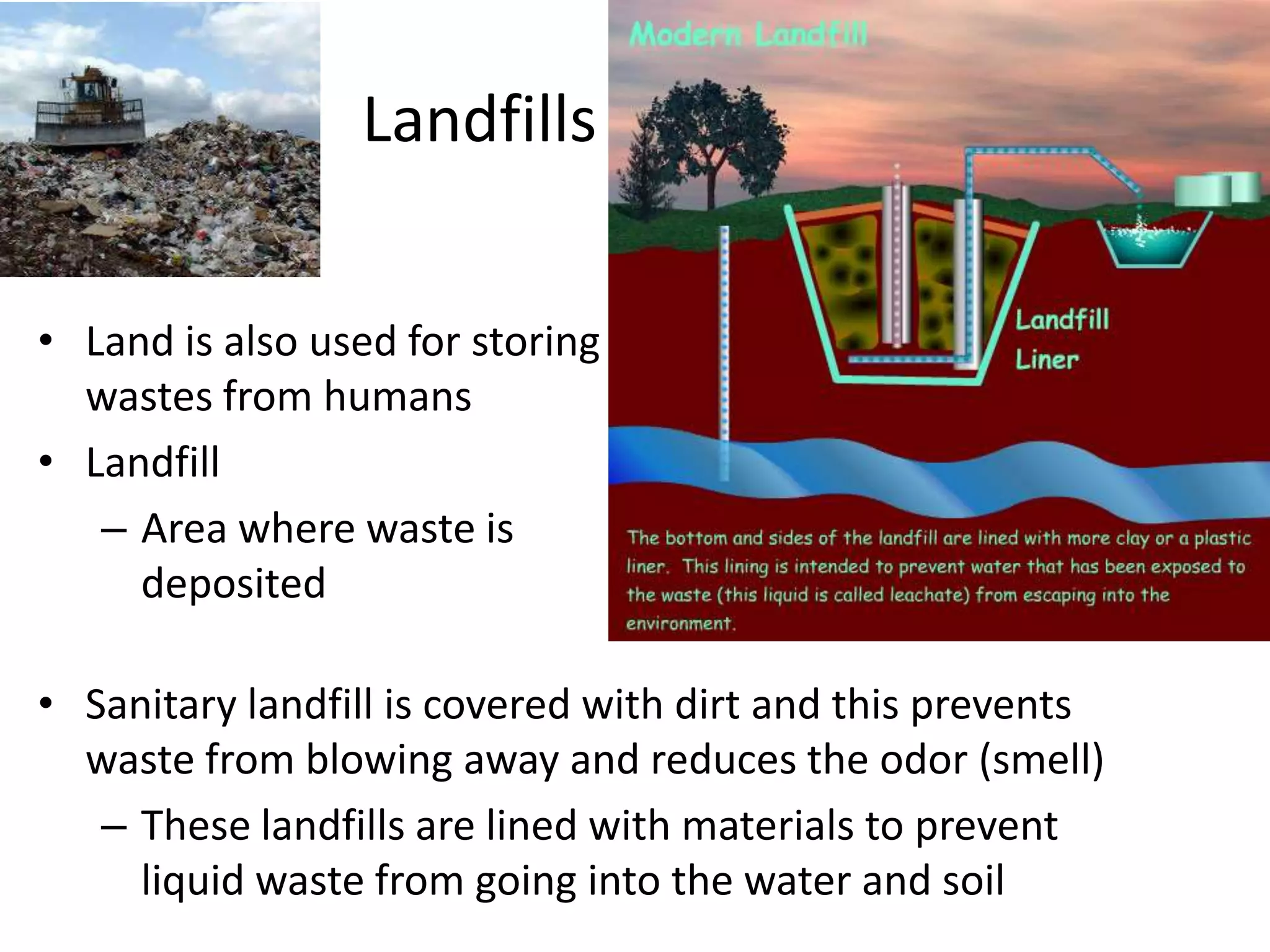 Human impacts on the environment and the 3 rs | PPT