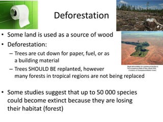 Human impacts on the environment and the 3 rs | PPT