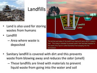 Human impacts on the environment and the 3 rs | PPTX