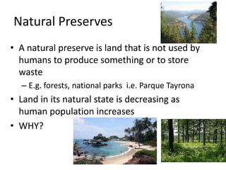 Human impacts on the environment and the 3 rs | PPT