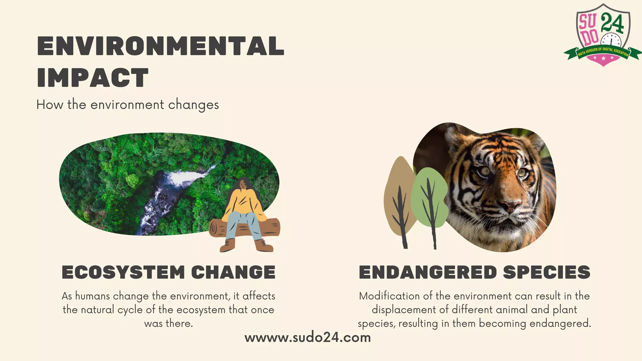 Modification of the Landscape | PDF