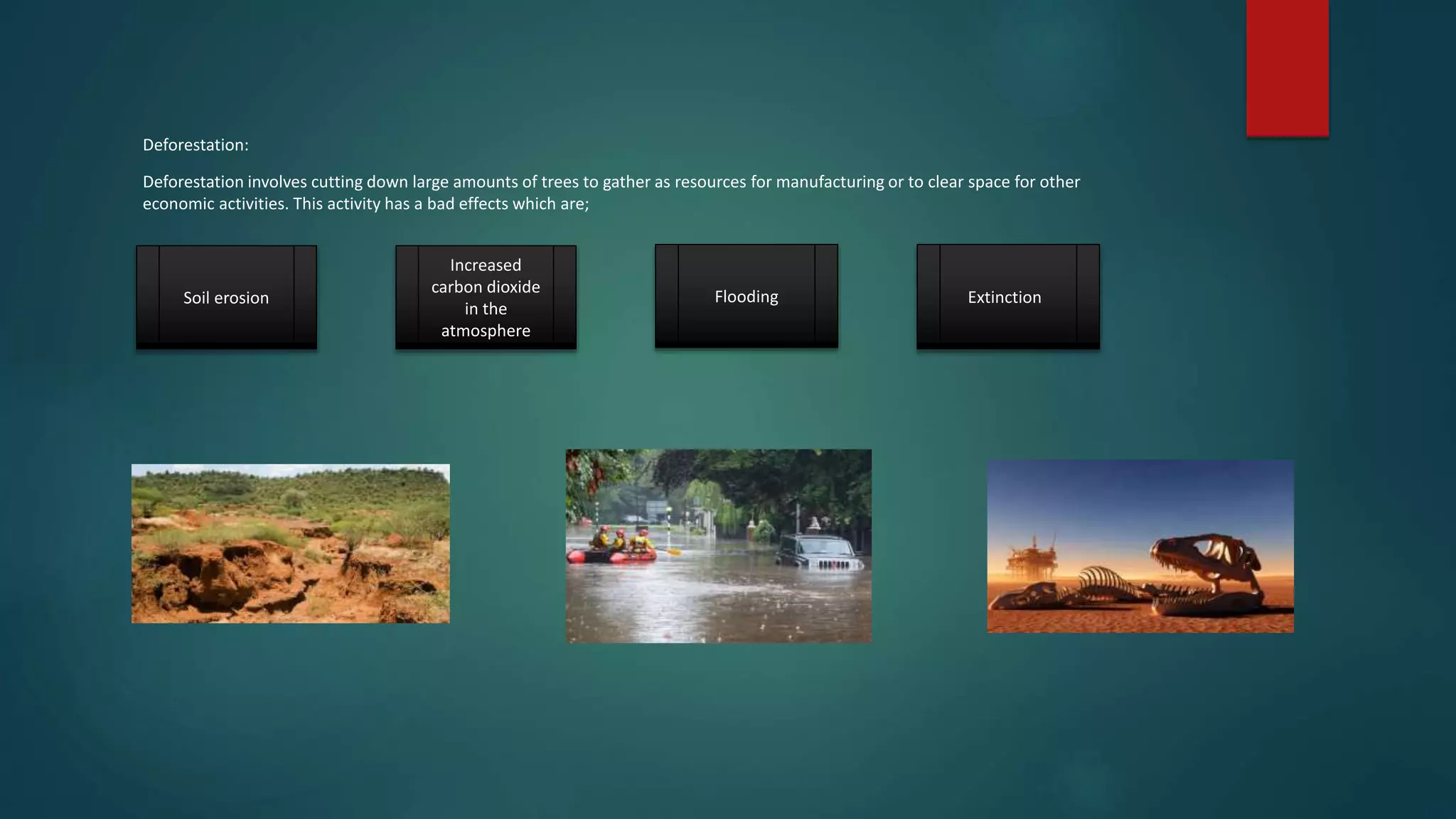 Human Influences On Ecosystems.pptx