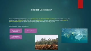 Human Influences On Ecosystems.pptx