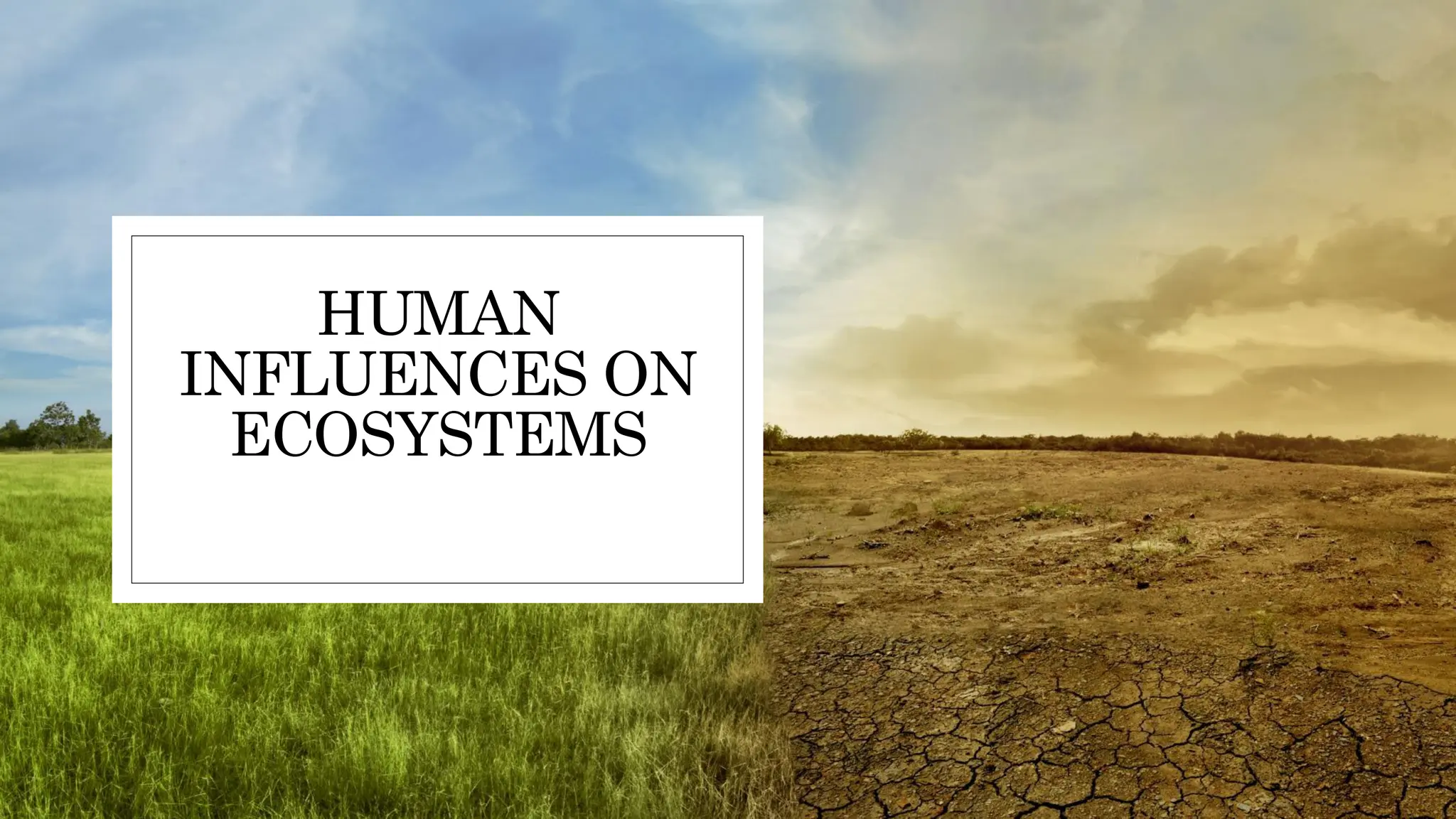 Human Influences on ecosystems IGCSE Biology | PDF