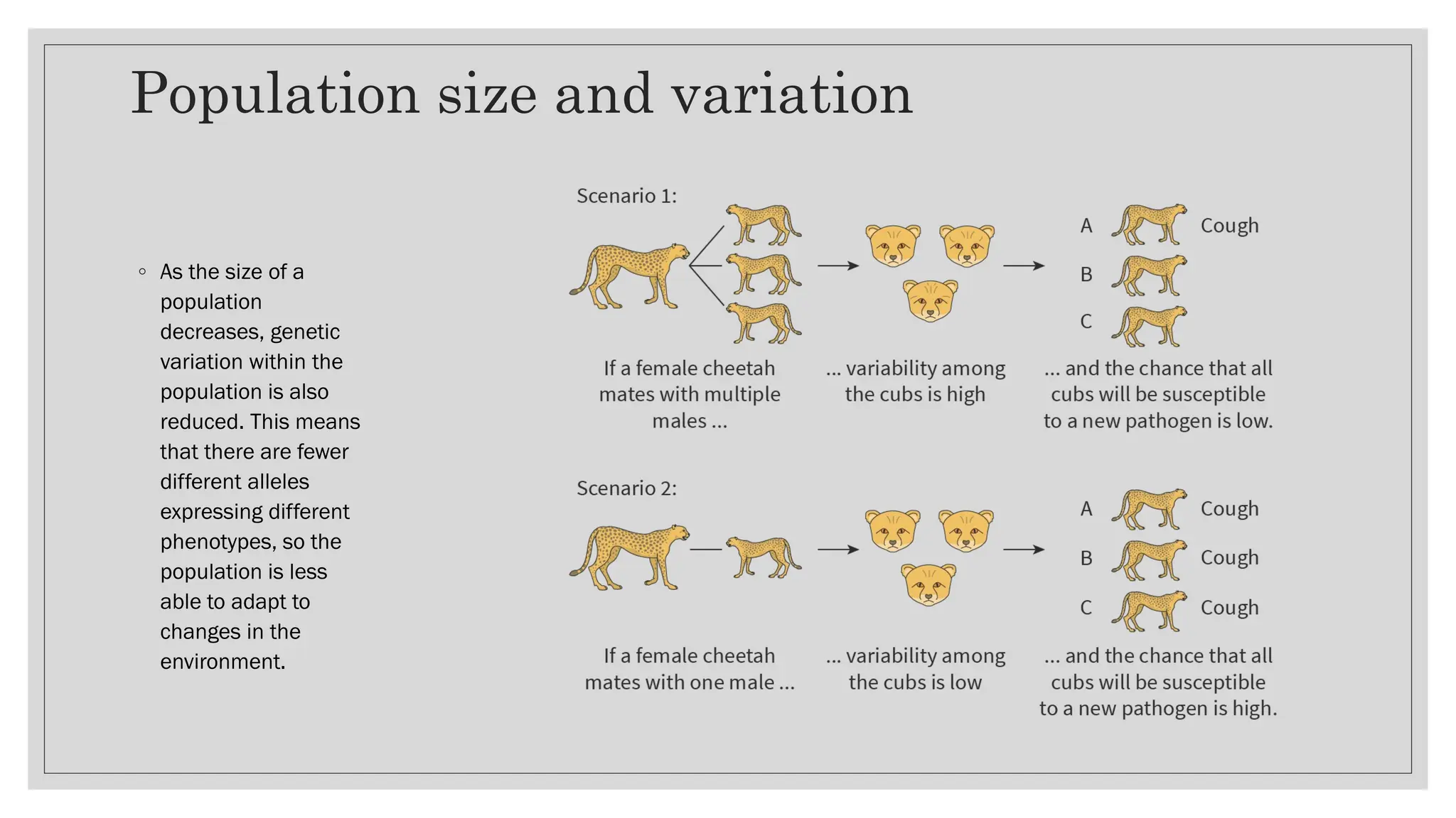 Human Influences On Ecosystems Igcse Biology Pdf