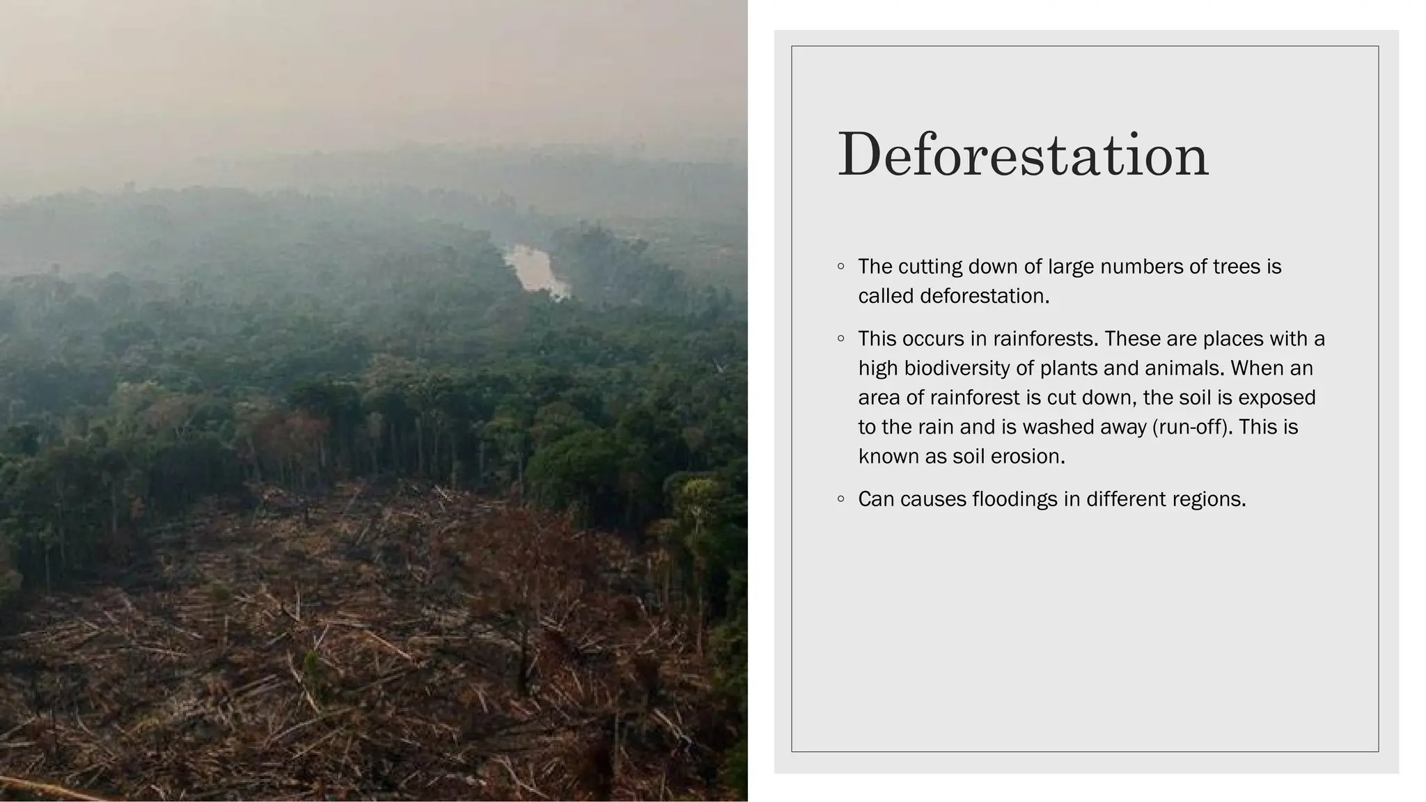 Human Influences on ecosystems IGCSE Biology | PDF