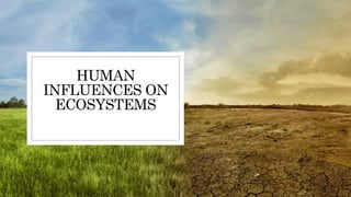 Human Influences on ecosystems IGCSE Biology | PDF