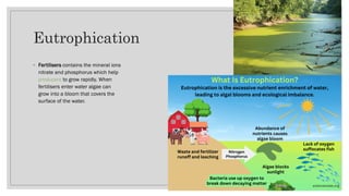 Human Influences on ecosystems IGCSE Biology | PDF | Agriculture ...