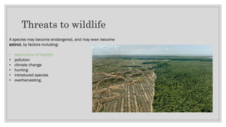 Human Influences on ecosystems IGCSE Biology | PDF