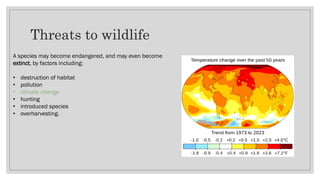 Human Influences on ecosystems IGCSE Biology | PDF