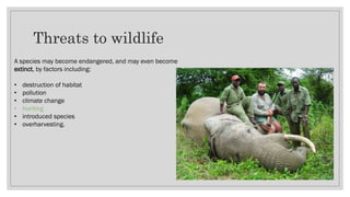 Human Influences on ecosystems IGCSE Biology | PDF