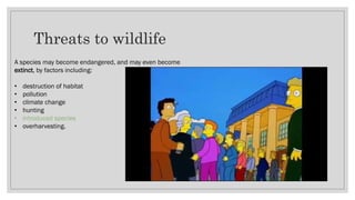 Human Influences on ecosystems IGCSE Biology | PDF | Agriculture ...