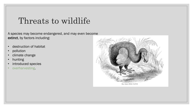 Human Influences on ecosystems IGCSE Biology | PDF | Agriculture ...