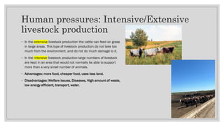 Human Influences on ecosystems IGCSE Biology | PDF
