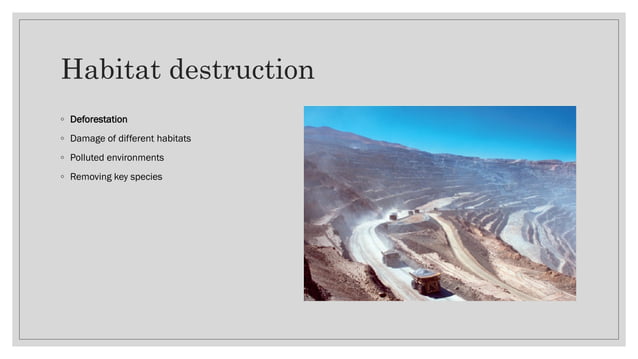 Human Influences on ecosystems IGCSE Biology | PDF | Agriculture ...