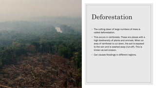 Human Influences on ecosystems IGCSE Biology | PDF