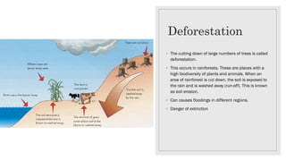Human Influences on ecosystems IGCSE Biology | PDF
