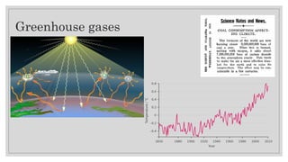 Human Influences on ecosystems IGCSE Biology | PDF | Agriculture ...