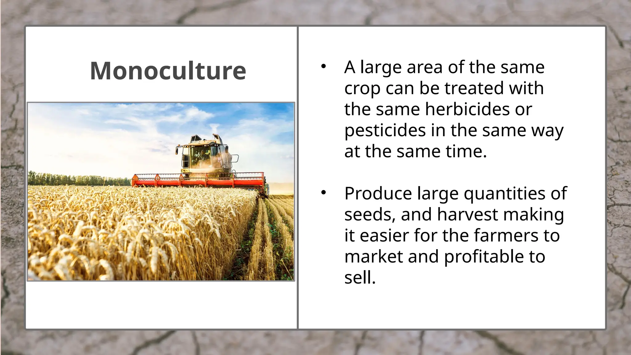 HUMAN INFLUENCES ON ECOSYSTEMS - CO PPT.pptx